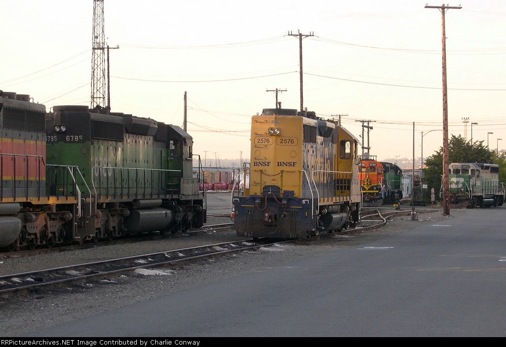 Summer Morning on the Balmer Yard ready tracks